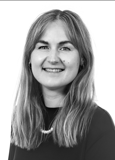 The Danish Skin Cancer Model (DaiSiCaM)